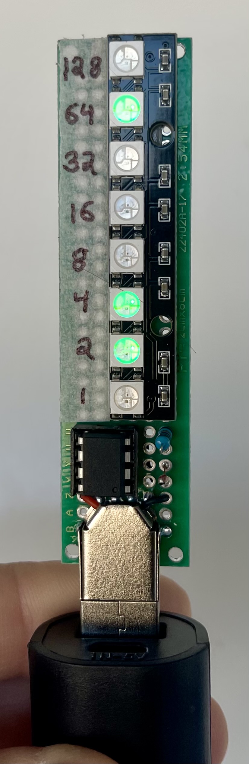 Binary Thermometer